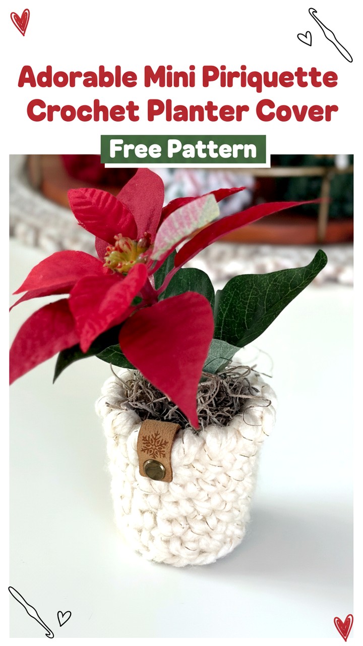 12 Crochet Planter Cover Free Pattern - Crochet with Patterns